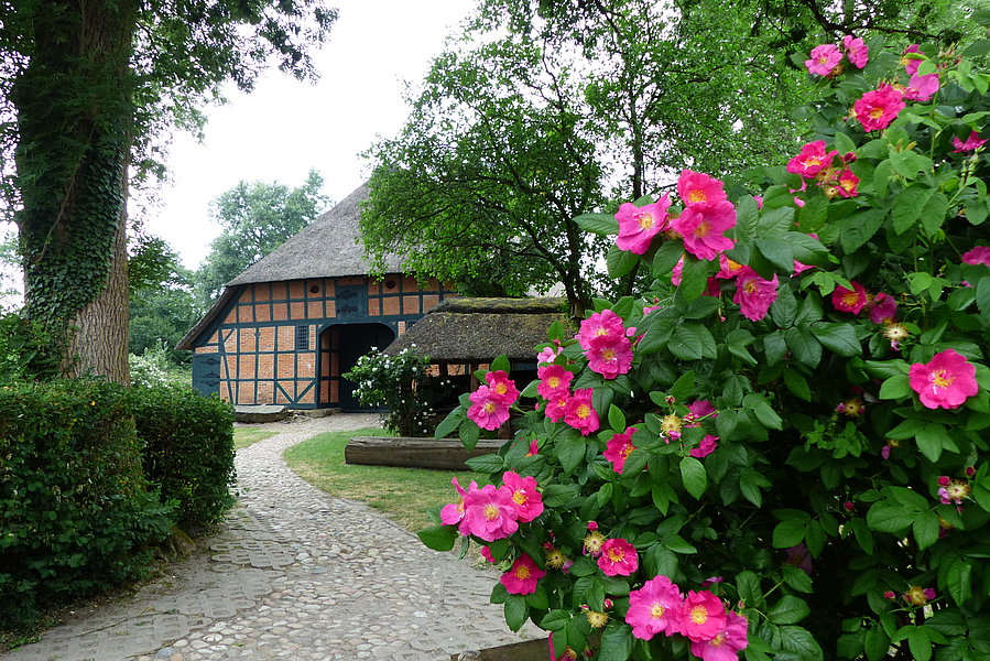 Stadt Meldorf: Rosengarten